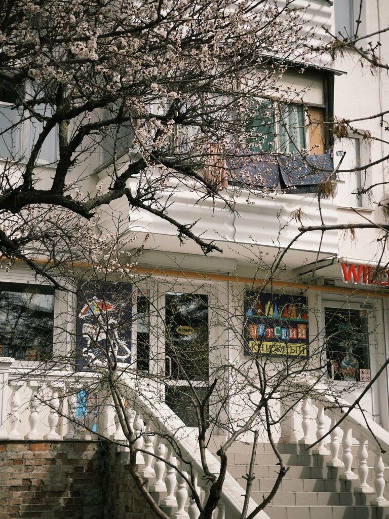 Kitap mağazaları Мэри Поппинс, Sevastopol, foto