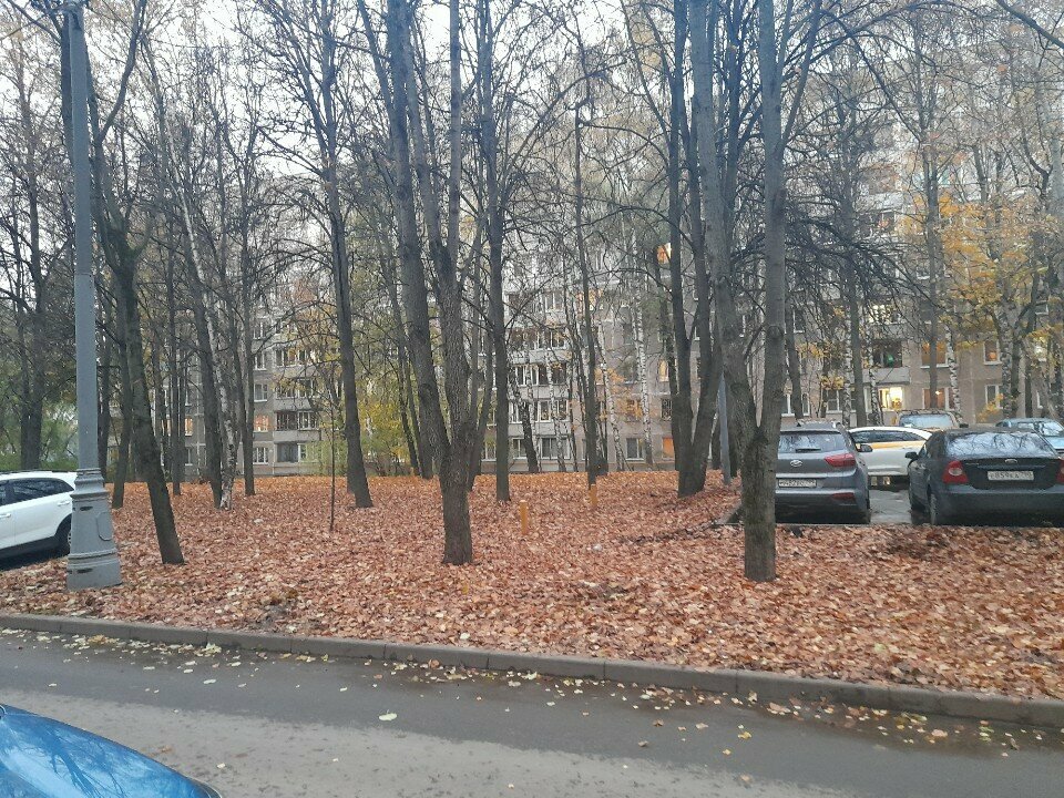 Oyun alanı Playground, Moskova, foto