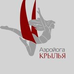 Aeroyoga stüdyosu Kanatlar (Bolshaya Moskovskaya Street No:1-3), yoga stüdyosu  Saint‑Petersburg'dan