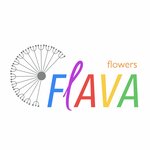 Flava (Vernadskogo Avenue No:11/19), çiçekçiler  Moskova'dan