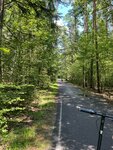 Беловежская Пуща (Bresckaja voblasć, Kamianiucki Rural Council, 20к1), toplu taşıma durağı  Brestskaya oblastından