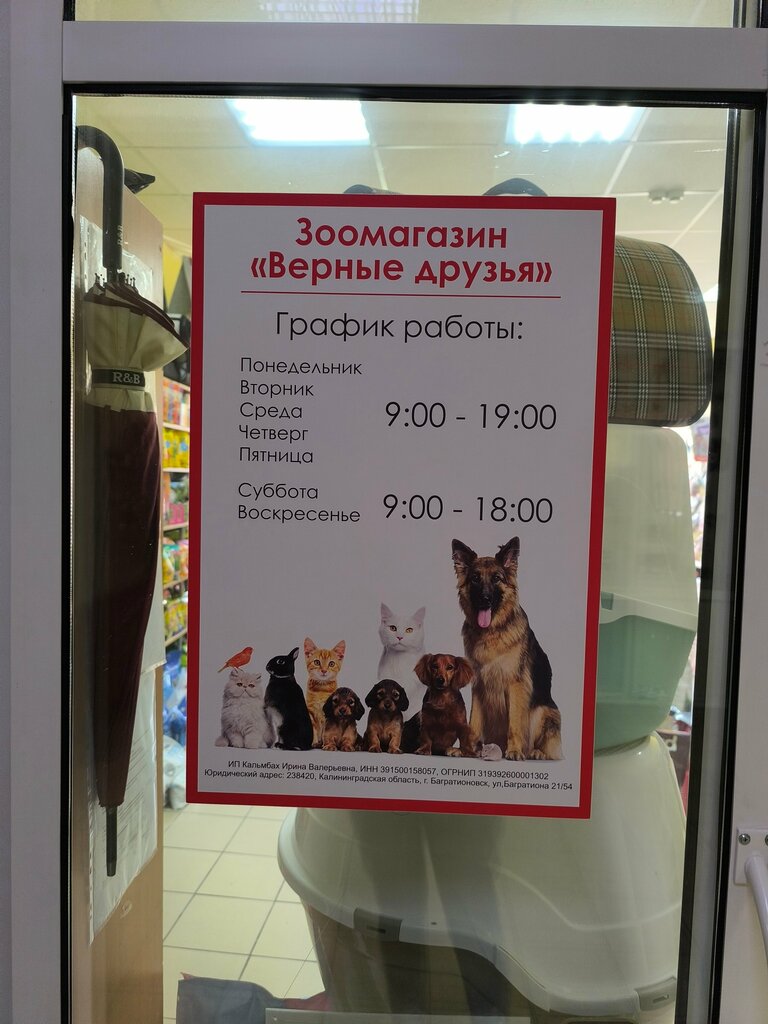 Petshop Верные друзья, Bagrationovsk, foto