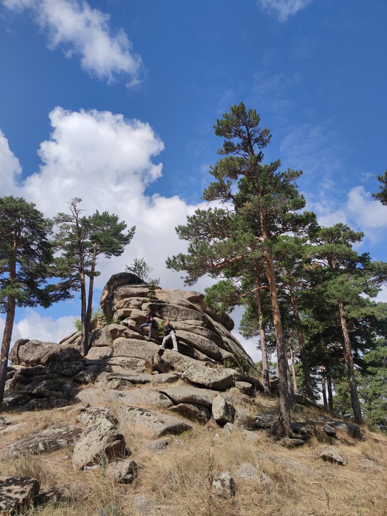 Resort oteller, tesisler Tomiris, Akmola eyaleti, foto