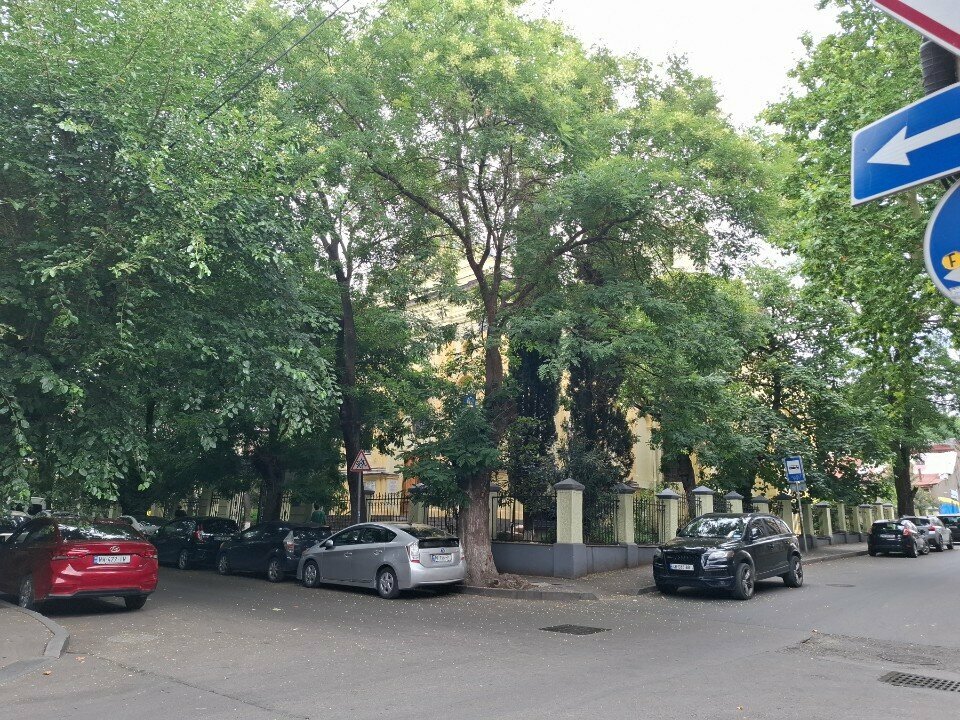 Çiçek teslimatı Tbilisi Flora, Tiflis, foto