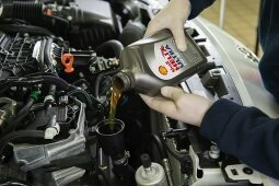 Express yağ değişim noktası Ulei Auto, Anenii Noi Bölgesi, foto