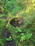 Spring, stream (Minskaja region, Puhavicki rajon, Blonskiy selsovet, Bloń), pınar, çay  Minskaya oblastından