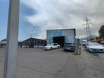 Animal Feed Store (Almaty, Nauryzbai City Administrative District, Taýsamaly shaǵyn aýdany), yem ve yem katkı maddeleri  Almatı'dan