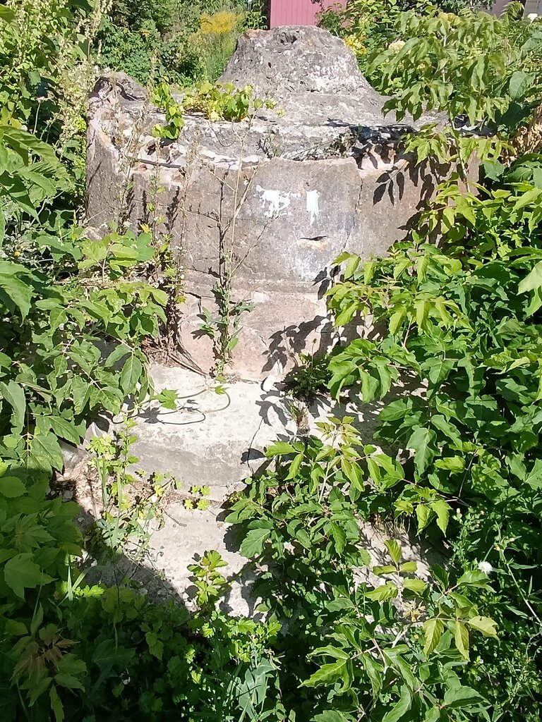 Turistik yerler Фундамент от бывшего фонтана Самсон имени братьев Могилевцевых, Briansk, foto