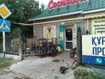 A-Rent (Qozybaev kóshesi No:129), kiralama noktası  Kostanay'dan