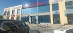 Indejka Pavlodarskaya (Gogol Street No:68), kanatlı hayvan ürünleri ve yumurta  Kostanay'dan