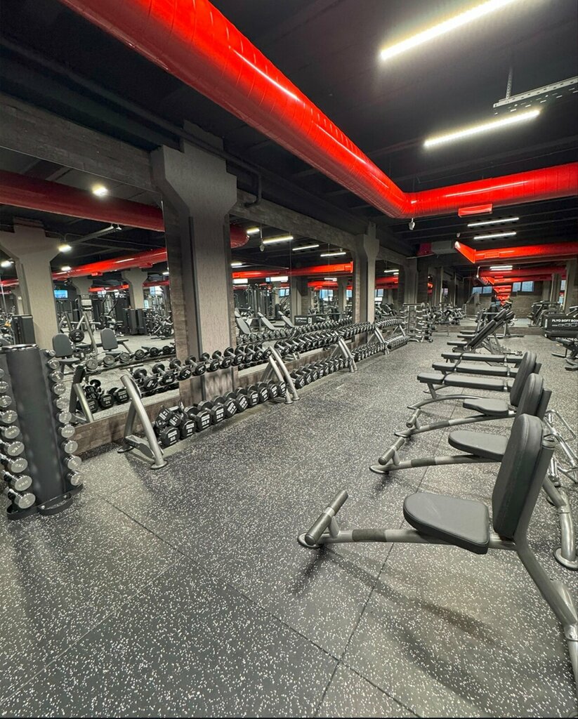 Fitness kulüpleri Neo Gym, Erivan, foto