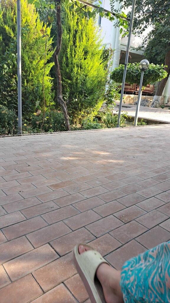 Elektronik ofis ekipmanları tamiri Install Mega Business, Cizzak, foto