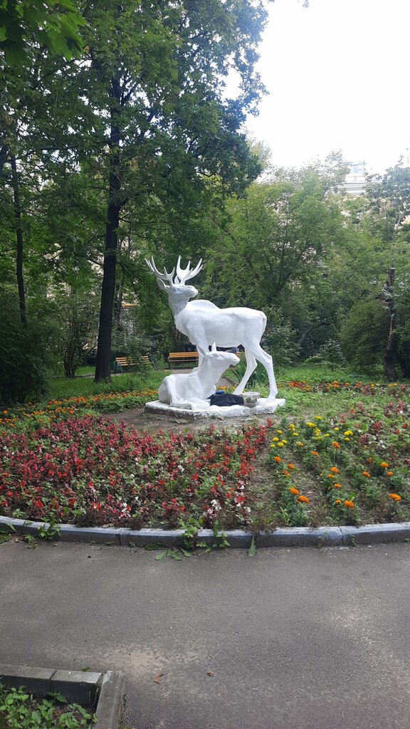 Pet otel Мурр-Лофт, Moskova, foto