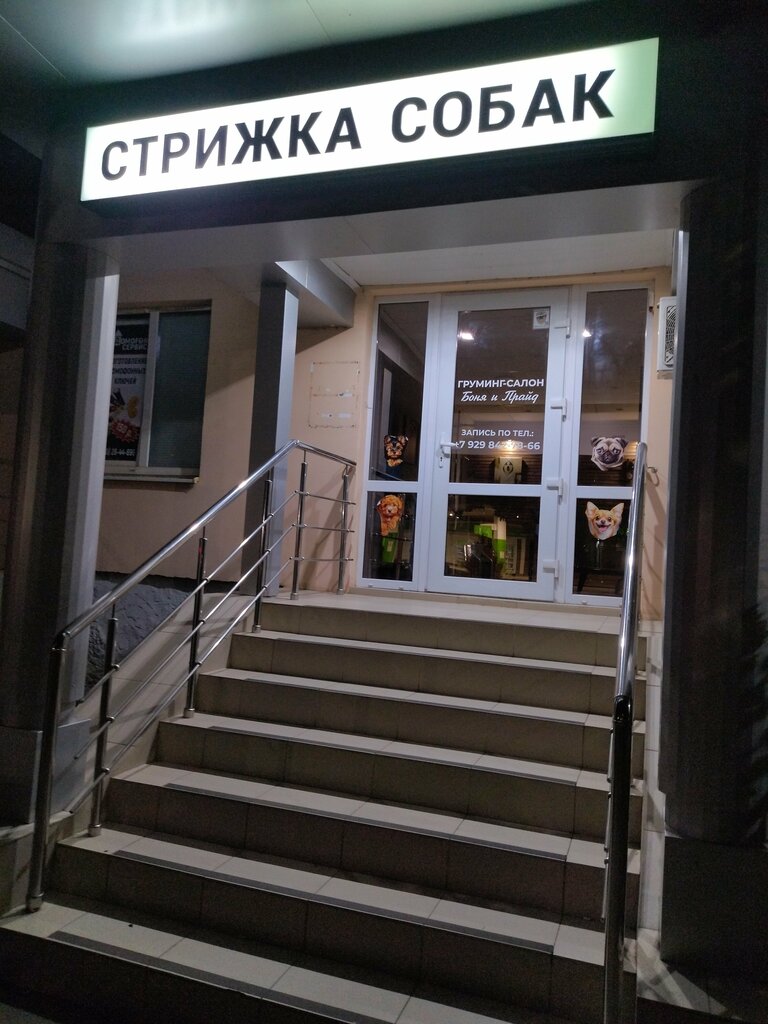 Evcil hayvan kuaförleri Боня и Прайд, Armavir, foto