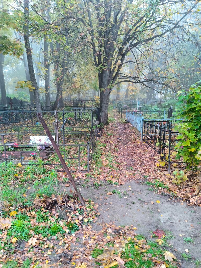 Mezarlıklar Березкинское кладбище, Moskova ve Moskovskaya oblastı, foto