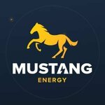 Mustang Energy (Oxangrabo ko'chasi No:7A, Yashnabad City District, Citizen assemblies of Urtamasjid Mahallah), elektrikli oto şarj istasyonları  Taşkent'ten