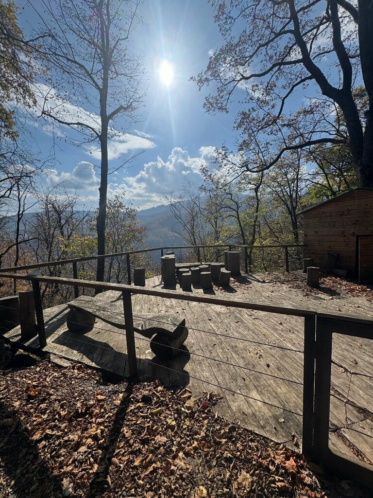 Kamp alanları Lastiver Campground, Tavuş, foto