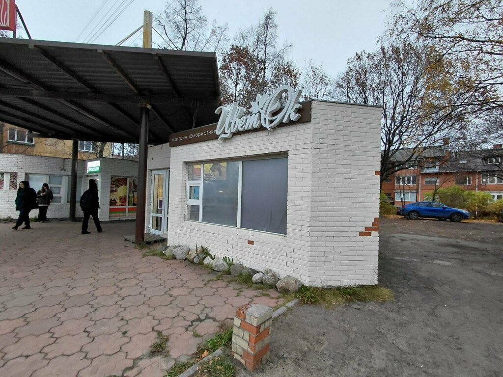 Kültür ve eğlence parkları Малый Ригачный сквер, Petrozavodsk, foto