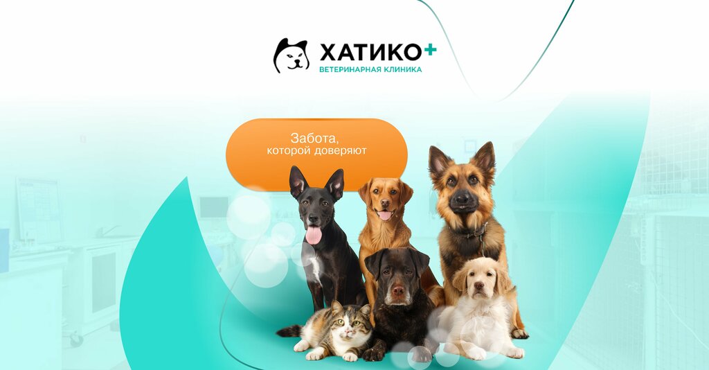 Veteriner klinikleri Khatiko, Moskova, foto