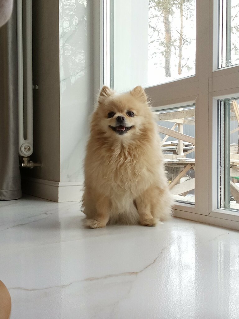 Turistik yerler Следы динозавров, Tursunzoda Bölgesi, foto