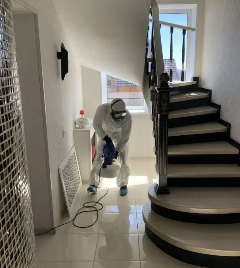 Haşere ilaçlama firmaları Ses, Mejdureçensk, foto