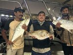 King Fisher Tours (Mina Rashid Street No:39, Madinat Dubai Al Melaheyah), tekne, yat, gemi kiralama  Dubai'den