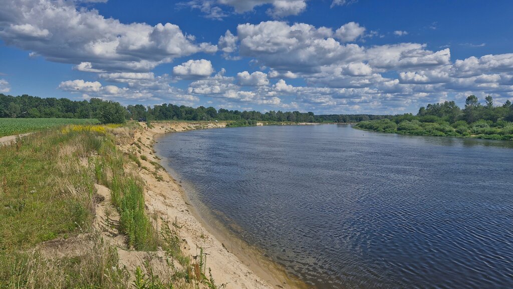 Plaj Пляж, Gomelskaya oblastı, foto