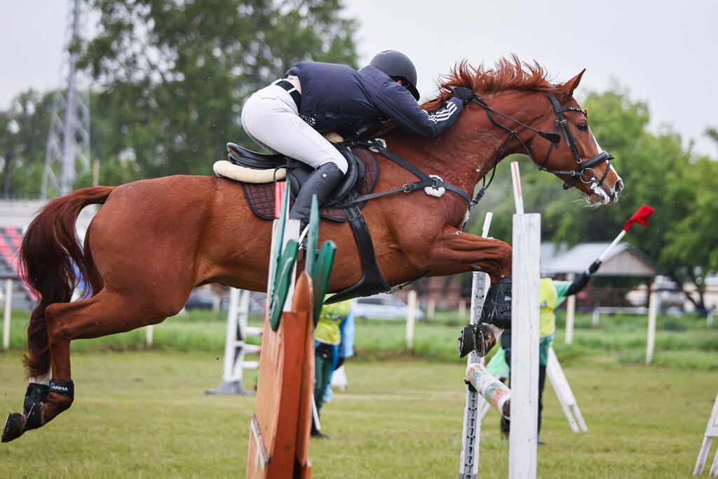 At ve binicilik kulüpleri Конно-спортивный клуб Кураж, Krasnoyarski krayı, foto