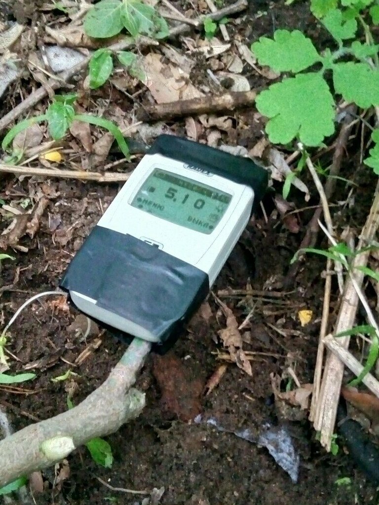 Turistik yerler Ramensk Radiation Anomaly, Moskova ve Moskovskaya oblastı, foto