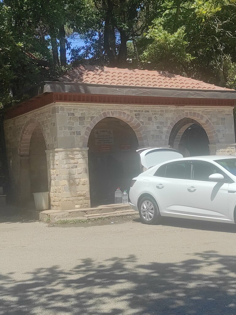 Piknik alanı Taşdelen Piknik Alanı, İstanbul, foto
