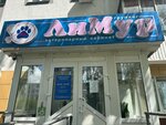 ЛиМур (Molodyozhnaya Street No:14), veteriner klinikleri  Alabuğa'dan