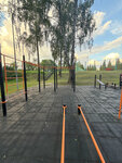 Workout City (Kursk Region, Zheleznogorsk, urochishche Ustye Voronka), spor alanı  Jeleznogorsk'tan