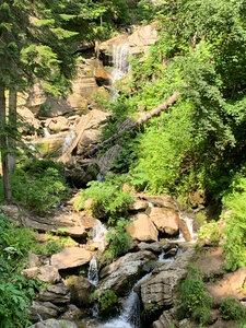 Waterfall (Krasnodar Territory, Sochi Resort City Urban District, yuzhny sklon Roza Pik), şelale  Soçi'den