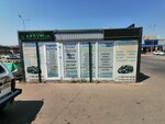 LuxBus (Rossiyskaya Street No:257), otobüs taşımacılığı  Krasnodar'dan