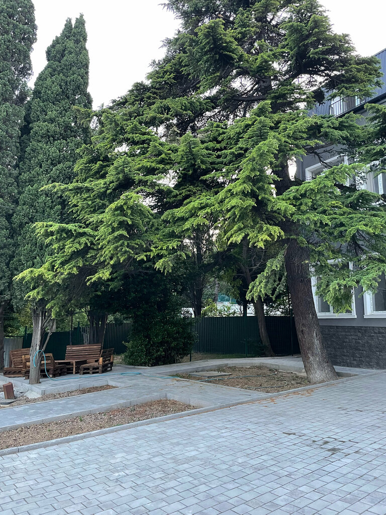 Otel Кипарис, Alupka, foto