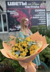 Цветы от Веры (Pionerskaya ulitsa No:24А), çiçekçiler  Suraj'dan
