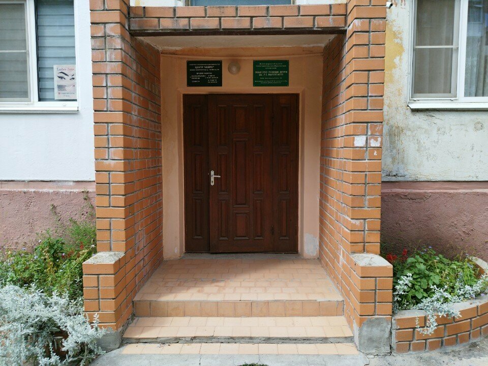 Sivil toplum kuruluşları Obshchestvo pomoshchi detyam im. L. S. Vygotskogo, Volgograd, foto