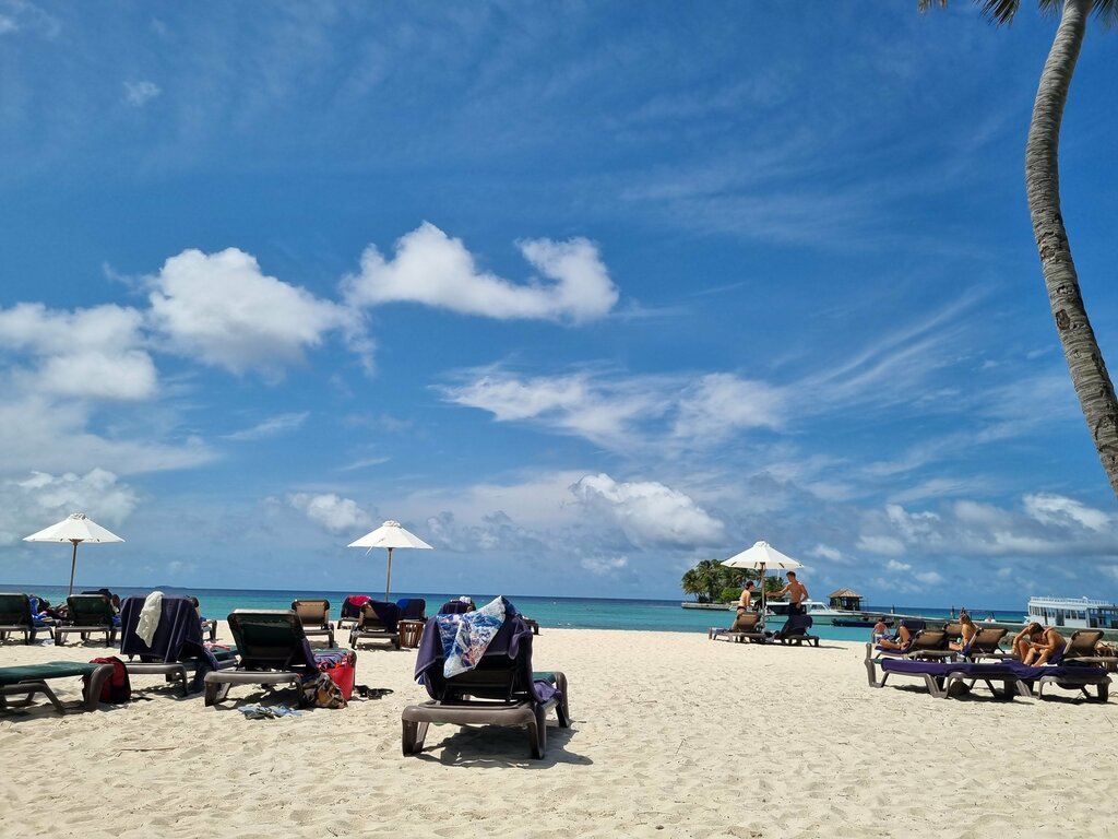 Seyahat acenteleri Pegas Touristik, Moskova, foto