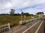 190 км (Novgorod Region, Malovisherskiy District, Verebyinskoye selskoye poseleniye), tren istasyonu  Novgorodskaya oblastından
