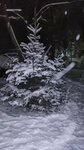 Спанч Бургер (Oktyabrskaya ulitsa No:34/3), fast food  Arsenev'den