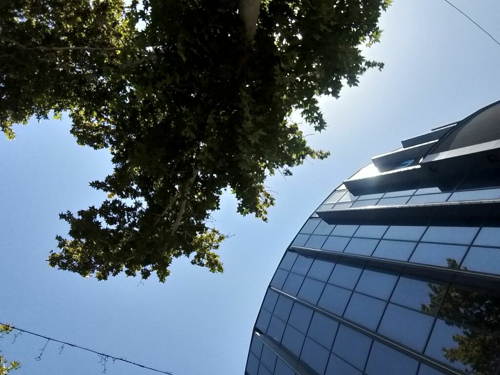 Kantin, yemekhane Olot Somsa, Taşkent, foto