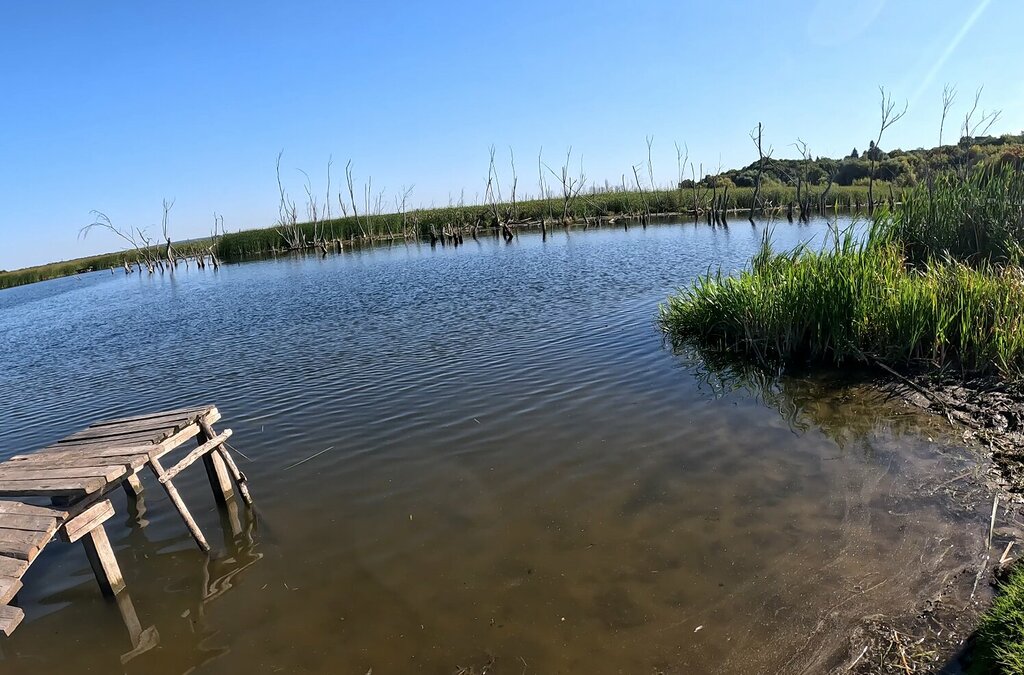Plaj Пляж, Kurskaya oblastı, foto