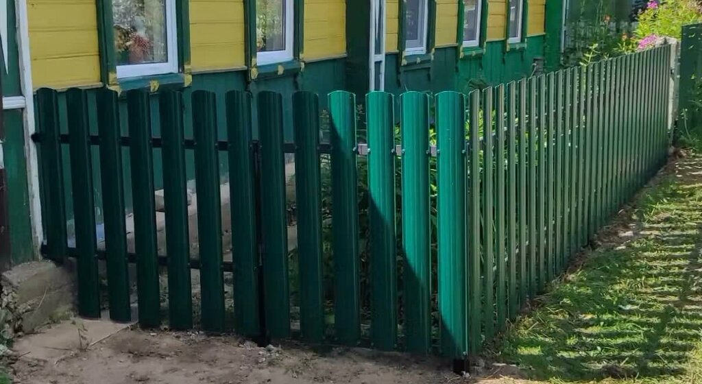 Çitler, parmaklıklar Забор Петрович, Moskova ve Moskovskaya oblastı, foto