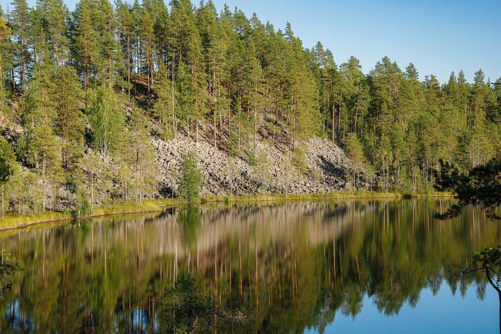 Doğa koruma alanı Памятник природы Уксинская озовая гряда, Karelya, foto