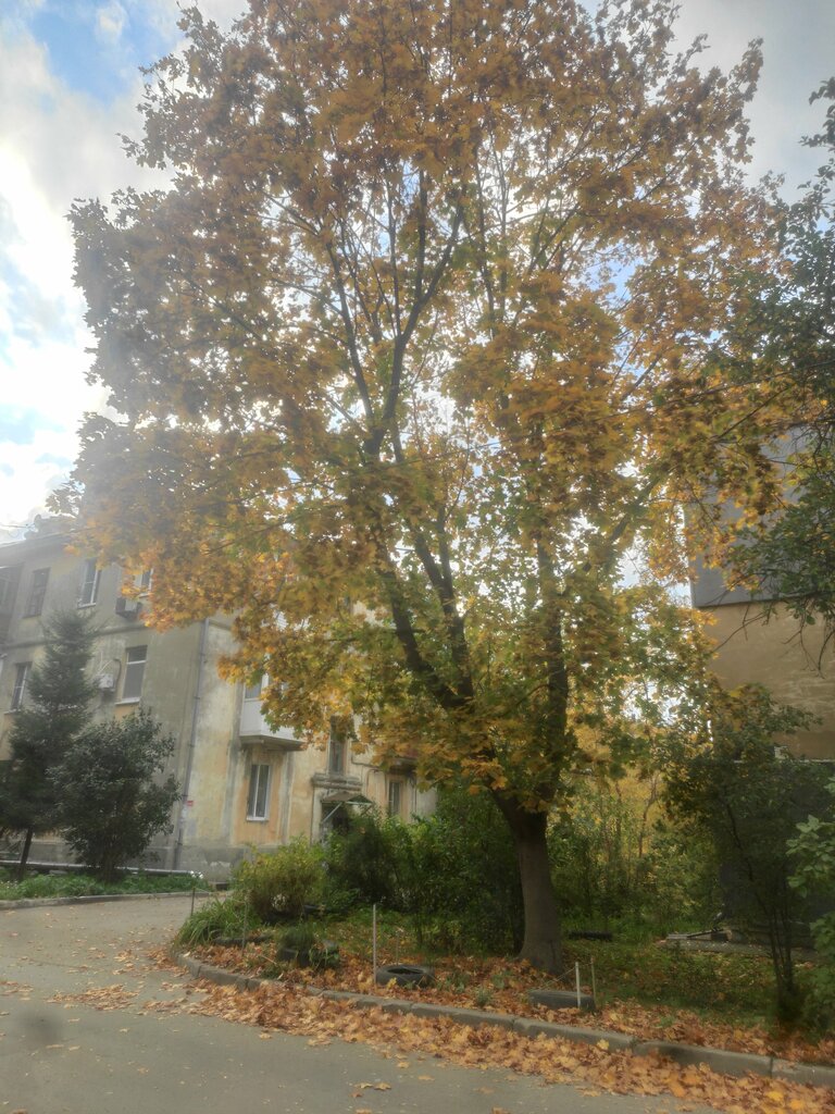 Çöp alanları Trash and garbage disposal area, Nijni Novgorod, foto