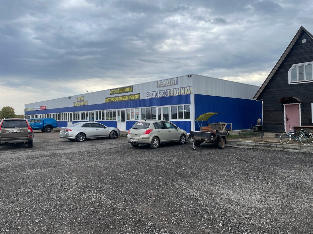 Bahçe ekipmanları tamiri Benzomaster, Taldom, foto