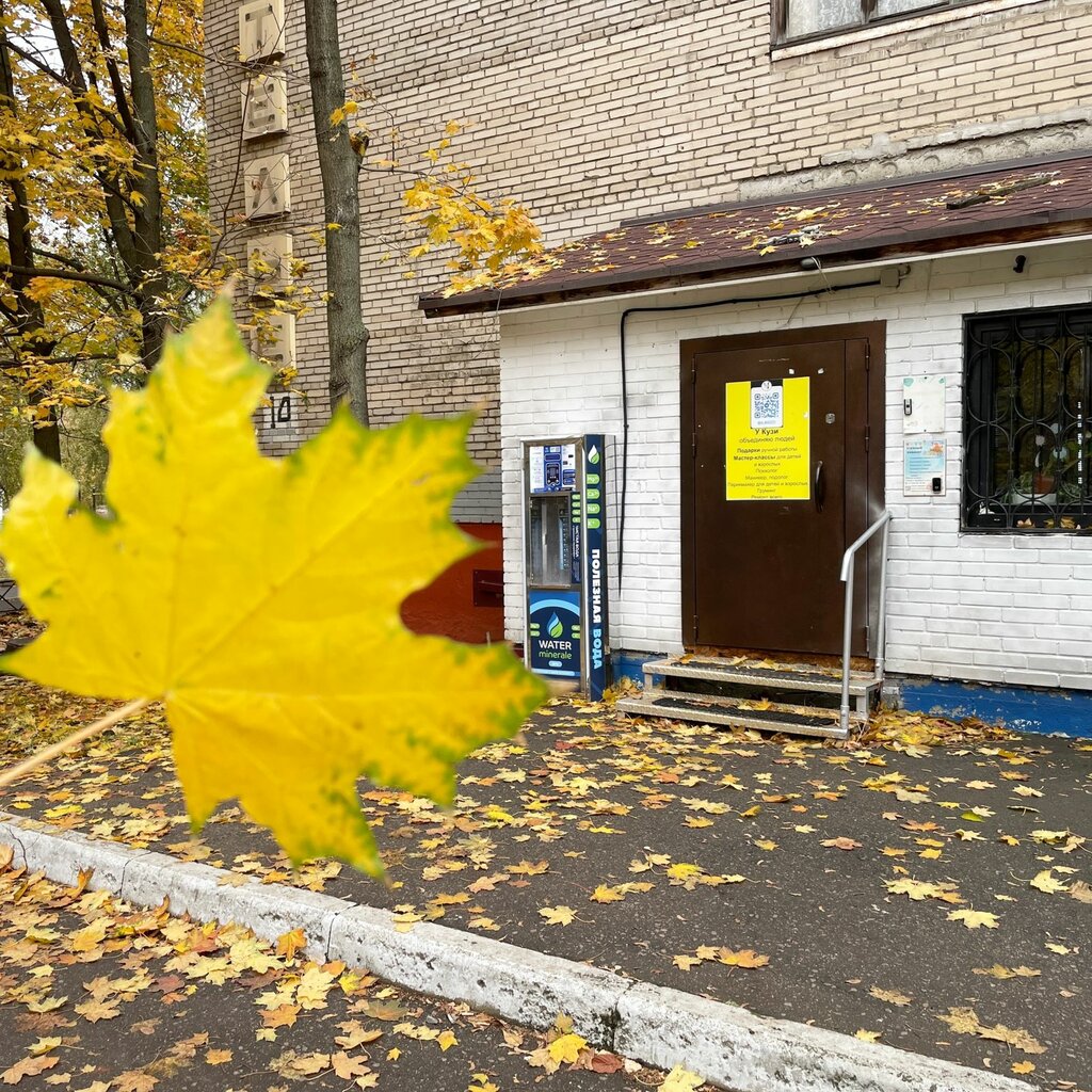 Özel ders hizmetleri Рябушка school, Reutov, foto