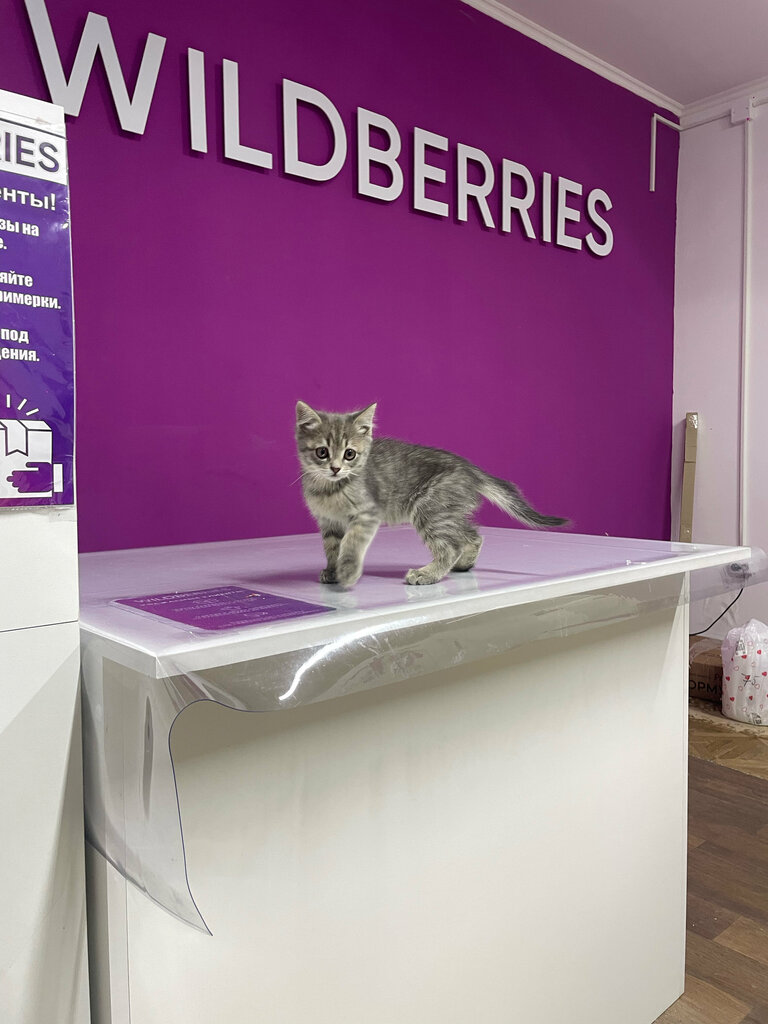 Teslimat noktası Wildberries, İşim, foto