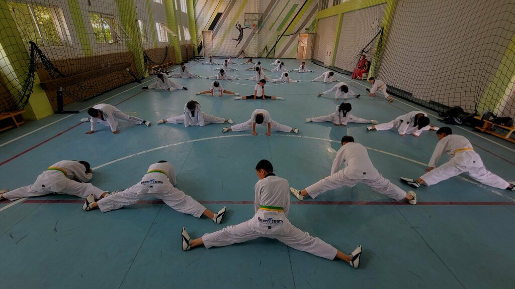 Spor kulüpleri Ilsan Taekwondo Wt Team Rafalovich, Taşkent, foto