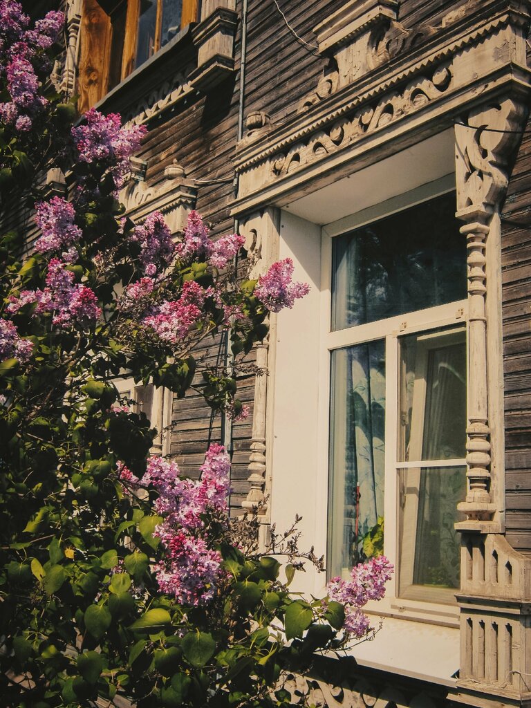 Turistik yerler Дом купца Попова, Vologda, foto